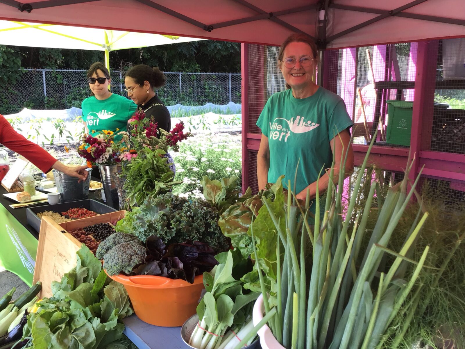 Une tonne de légumes cultivés en ville - Ville en vert